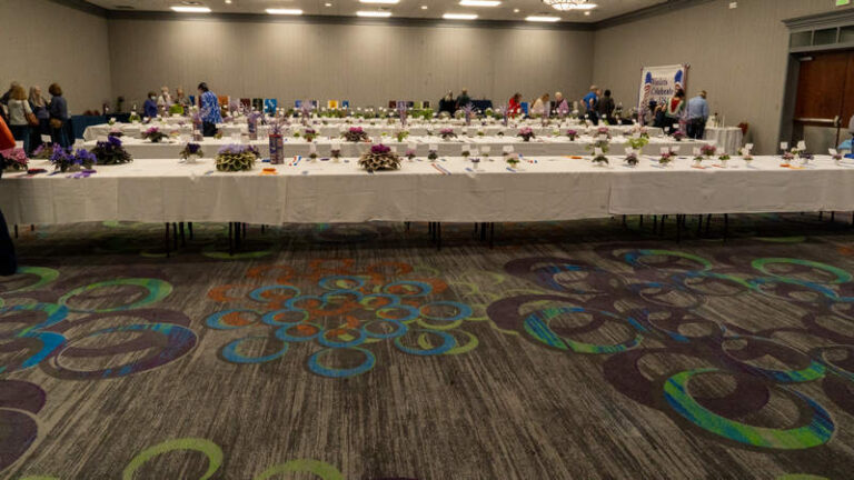 Lone Star African Violet Council – A resource for African Violet ...